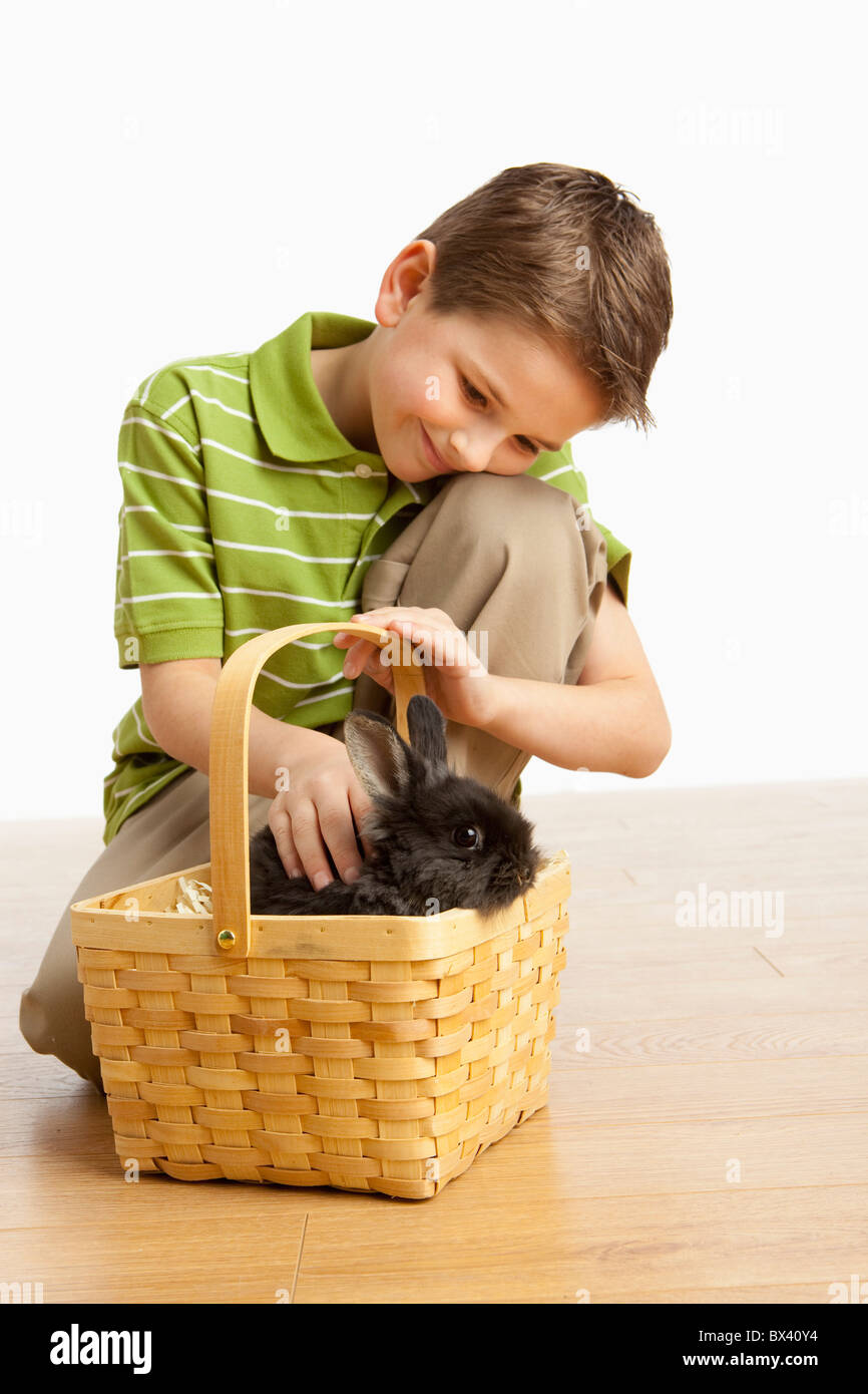 A Boy Petting A Rabbit In A Basket Stock Photo - Alamy