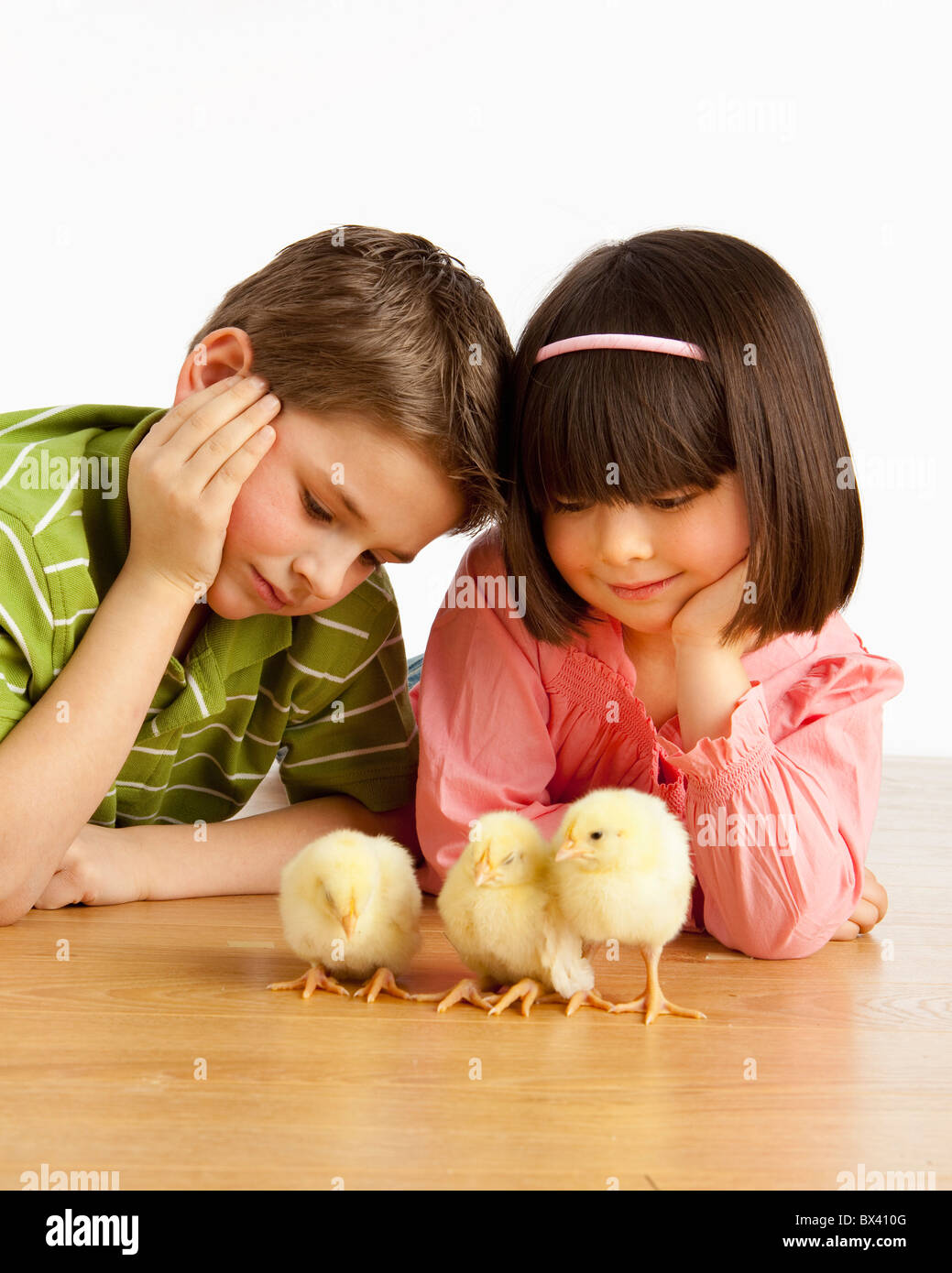 A Boy And Girl Watching 3 Chicks Stock Photo - Alamy