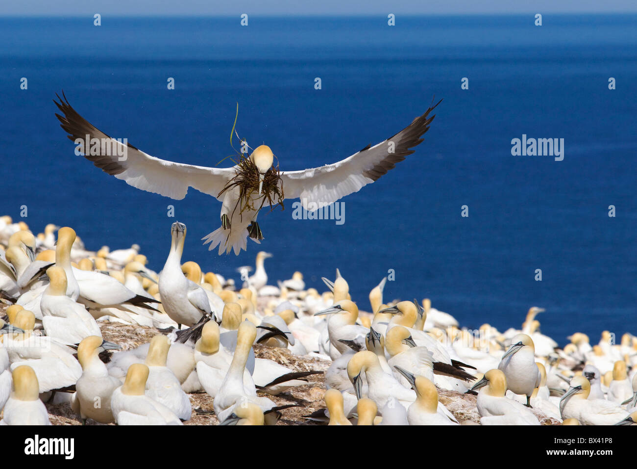 Awkward landing hi-res stock photography and images - Alamy