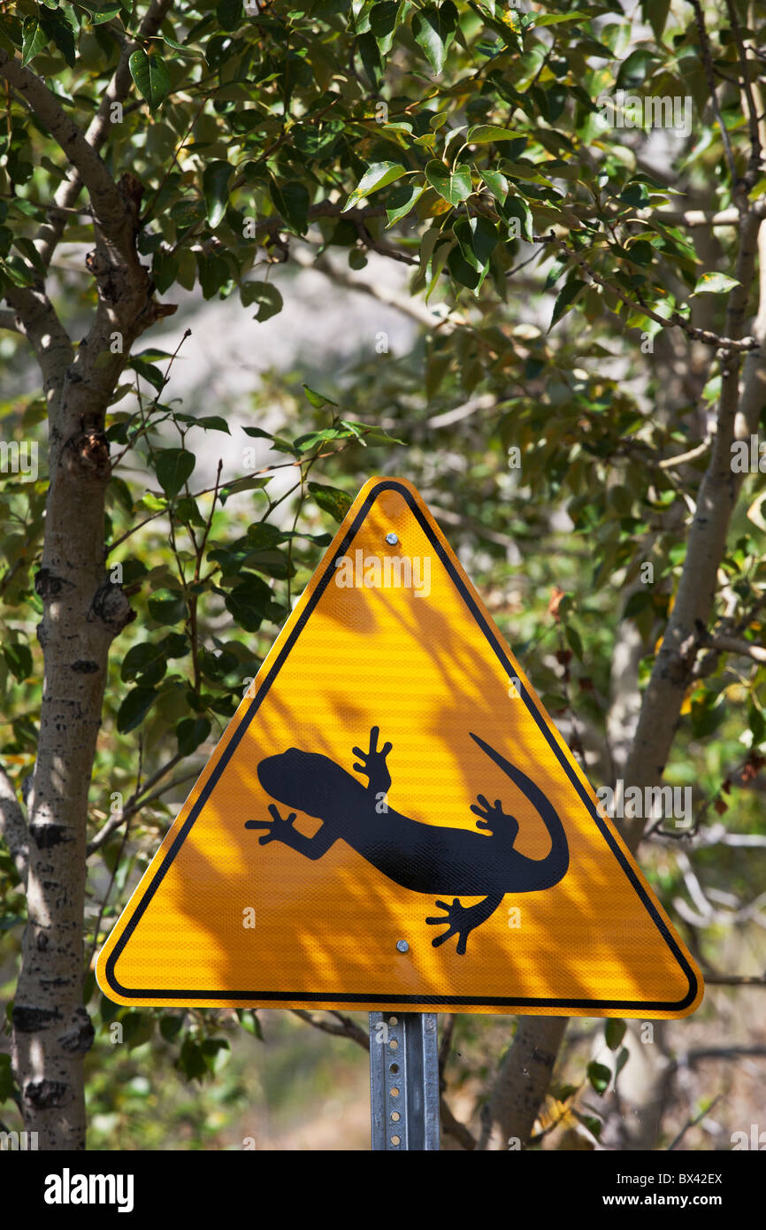 Road Sign With A Picture Of A Salamander And Trees Behind It; Waterton ...