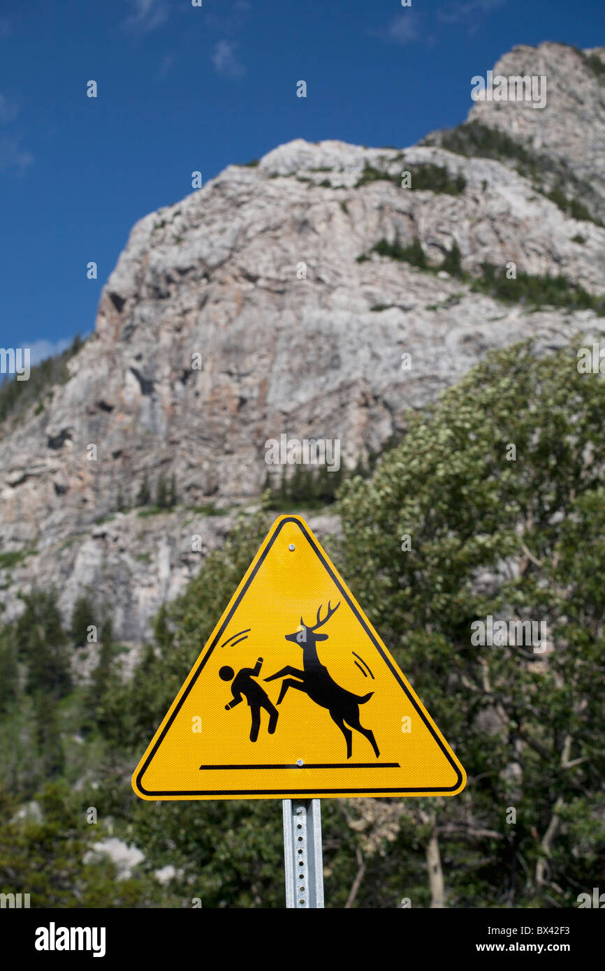 Deer on road warning sign hi-res stock photography and images - Alamy