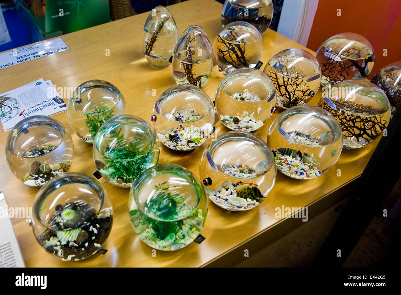 Miniature ecosystem hi-res stock photography and images - Alamy