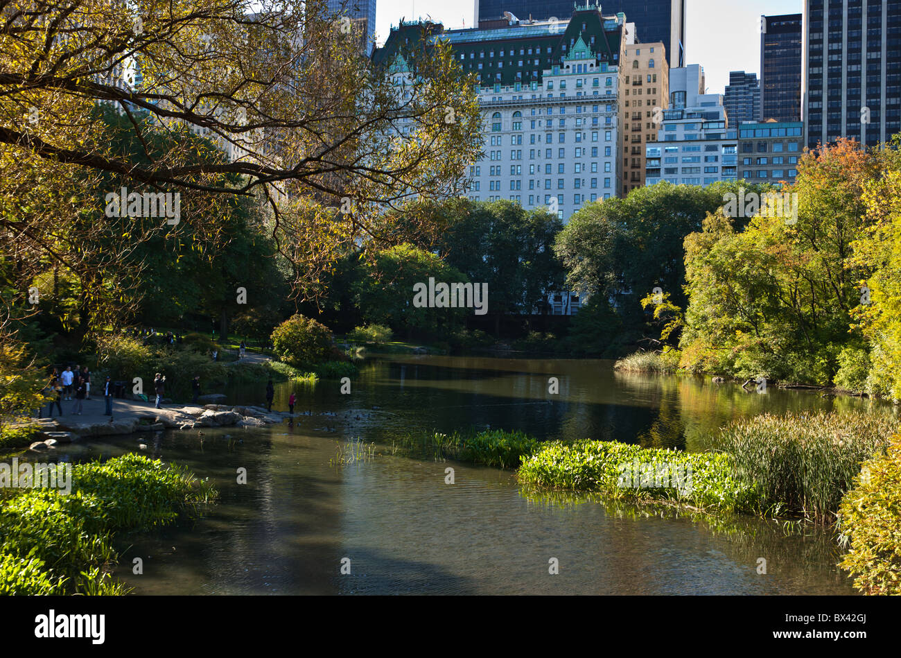 U.S.A., New York, Manhattan, the pond of the Central Park Stock Photo ...