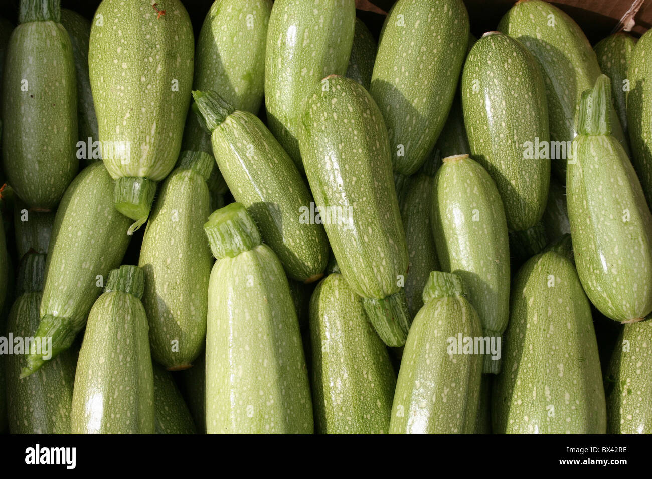 zucchini courgette vegetable eating food Stock Photo - Alamy