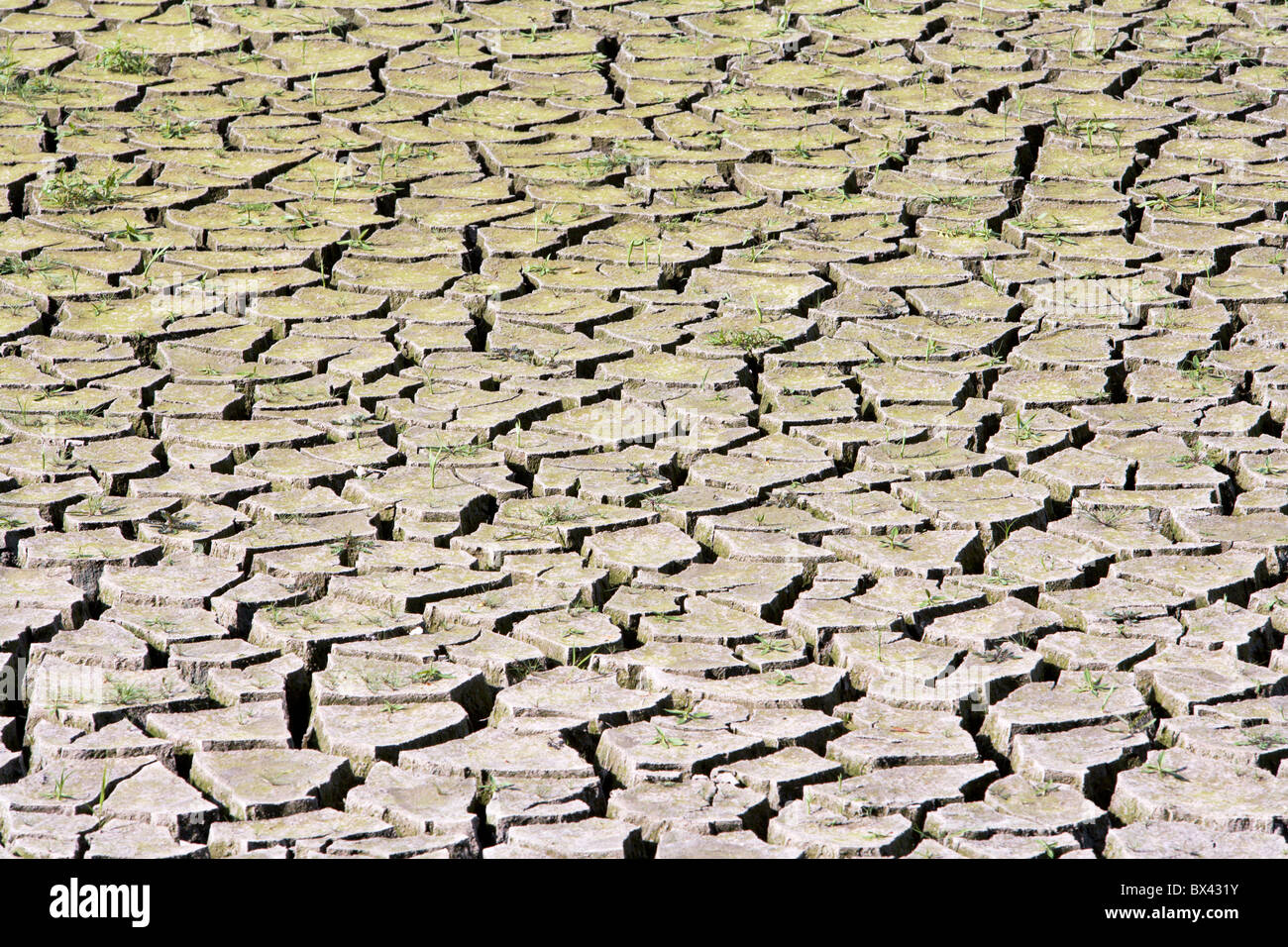 Ground patterns hi-res stock photography and images - Alamy
