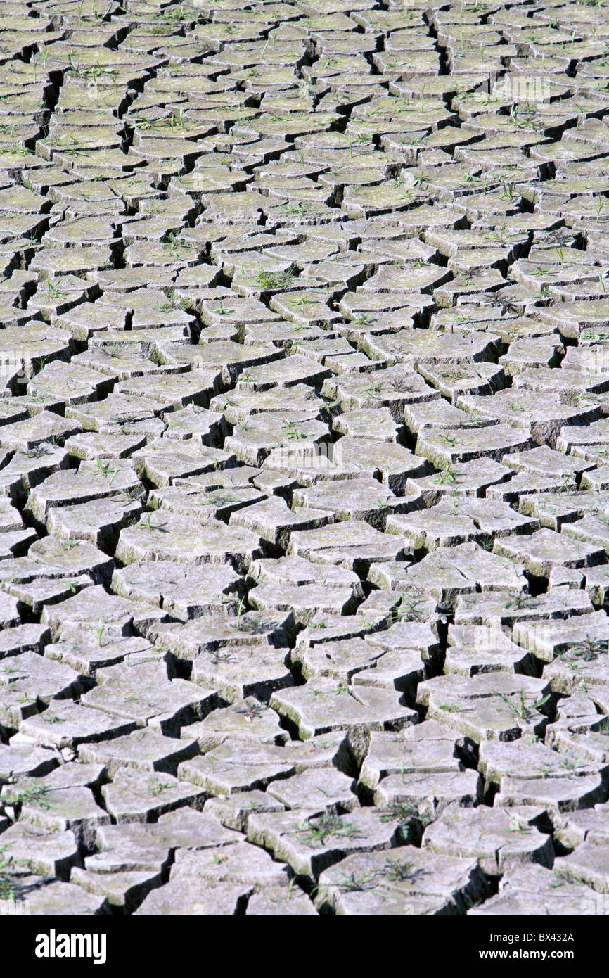 earth tears patterns structure dried out lake ground dryness heat ...