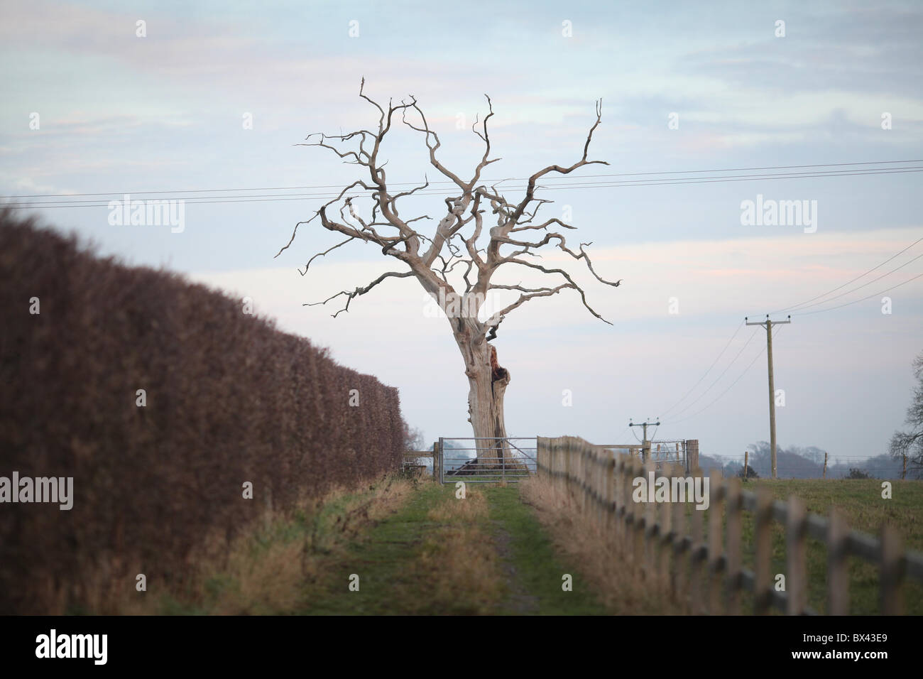 Path of the dead hi-res stock photography and images - Alamy