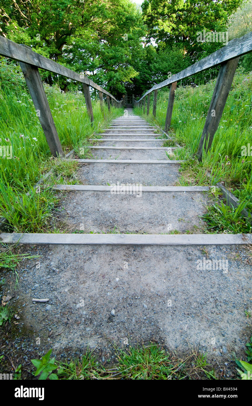 Steps leading down hi-res stock photography and images - Alamy
