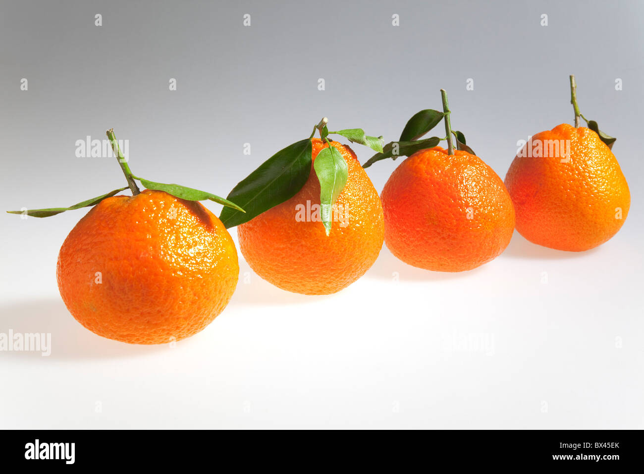 Hesperidium fruit hi-res stock photography and images - Alamy