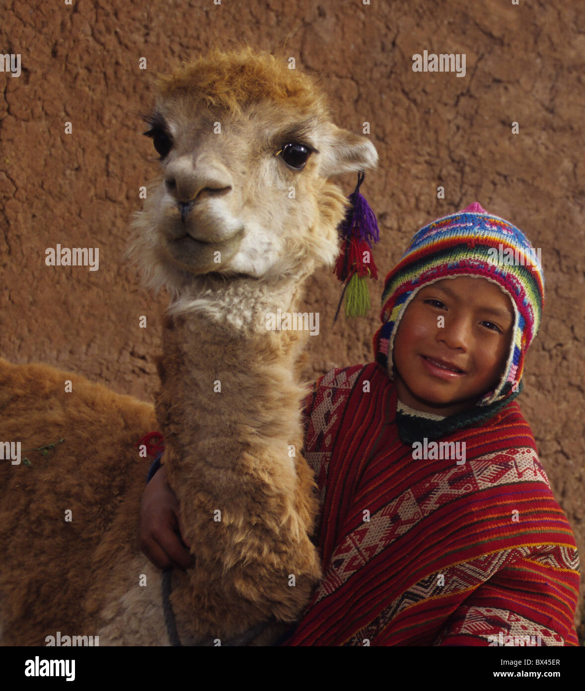 Peruvian boy and llama at Sacsayhuaman near Cusco, Peru Stock Photo - Alamy