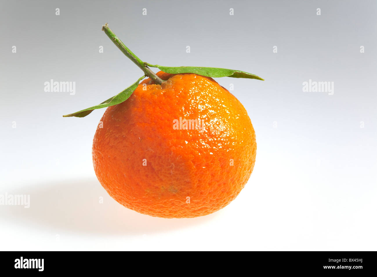Food, Fruit, Fresh Clementine orange Stock Photo - Alamy