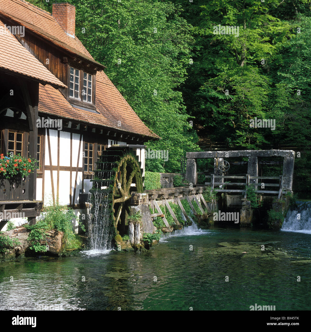 Blaubeuren blue pot Germany Europe lake mill Muhlrad aquatic run trees ...