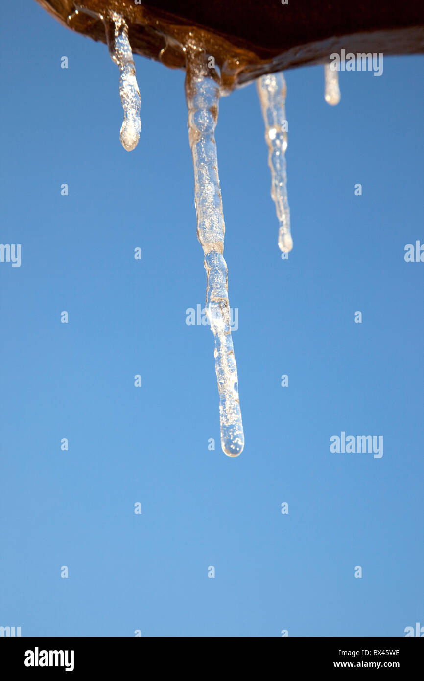 Weather, Winter, Frost, Icicles hanging from household facia panel ...