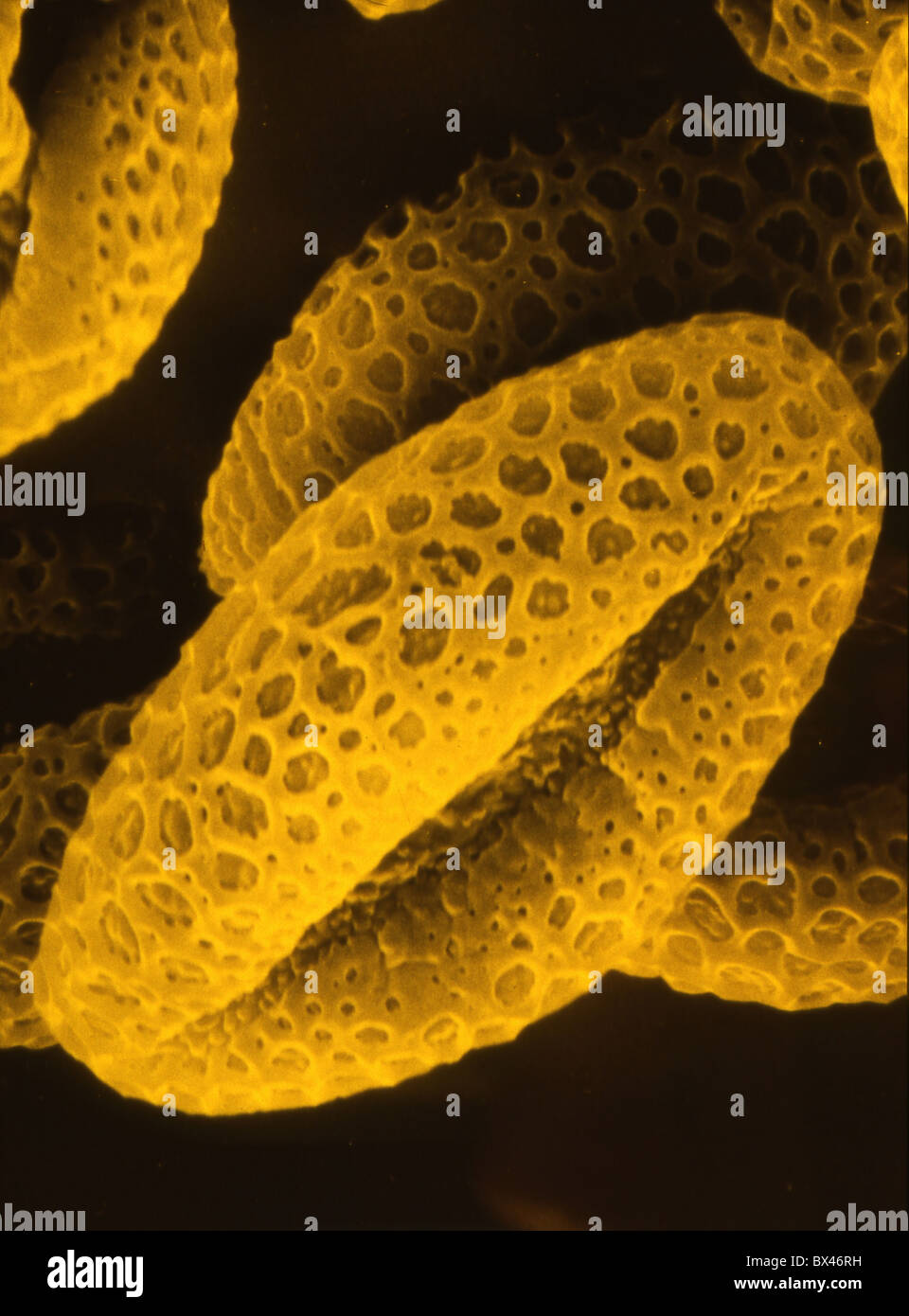10818907 hi-res stock photography and images - Alamy
