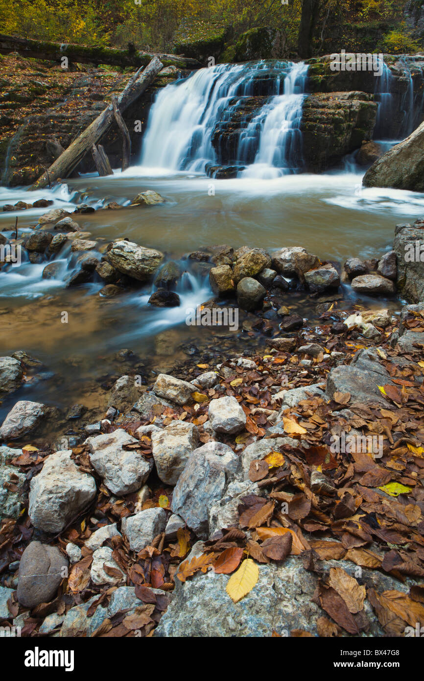 waterfall in autumn forest Stock Photo - Alamy