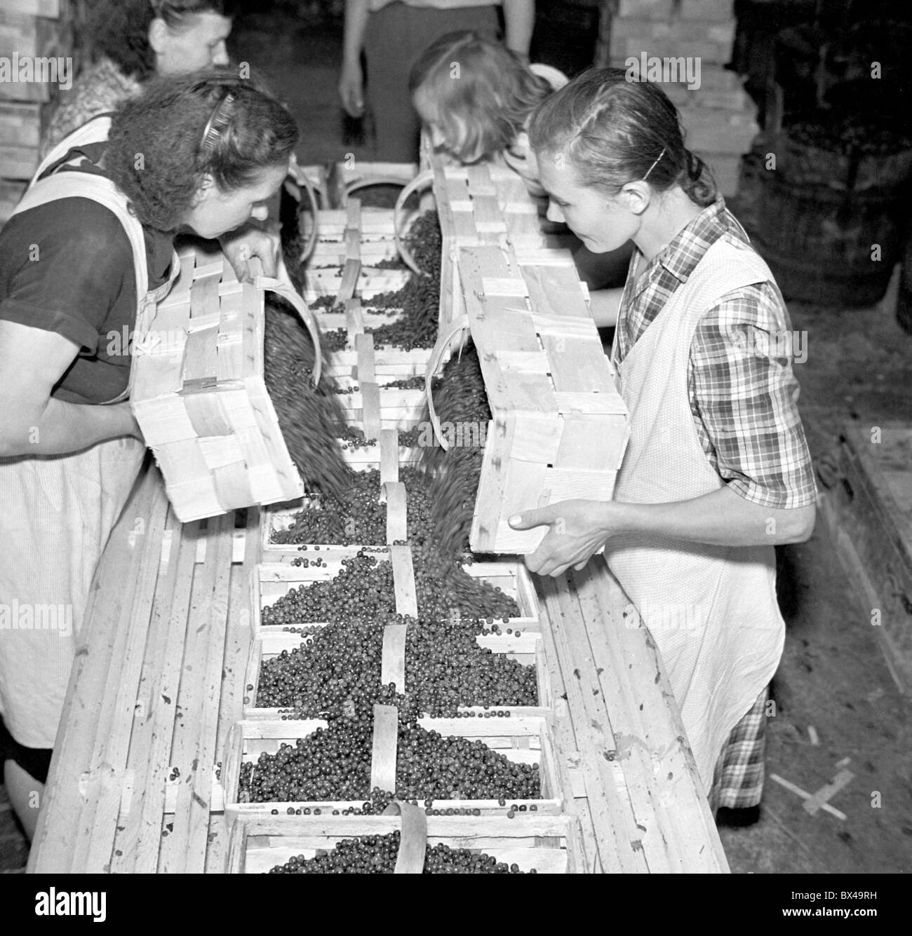 Young pioneer soviet union Black and White Stock Photos & Images - Alamy