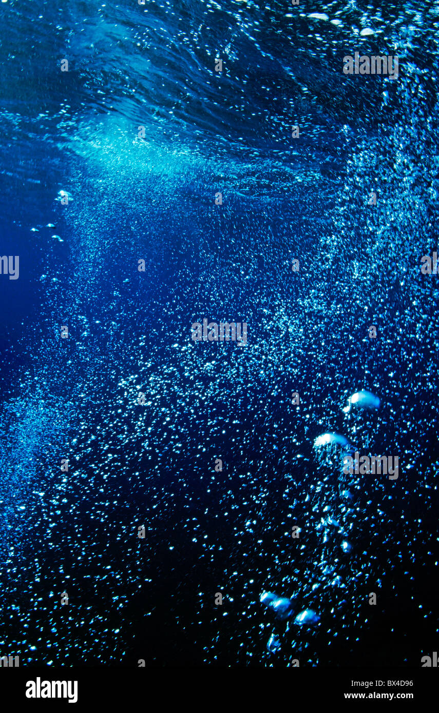 Egypt Red Sea Elphinstone Reef Wall Of Bubbles In The Blue Made By ...