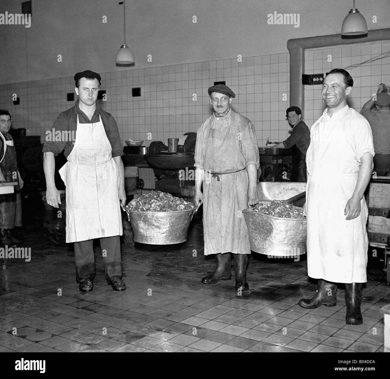Prague, 1949. Butchers at meat factory carry raw meat which is to be ...