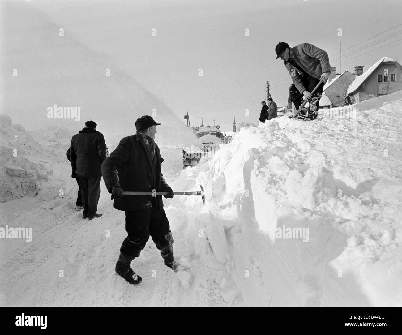 Snow calamity in mountain region of Orlicke Hory (Eagle Mountains ...