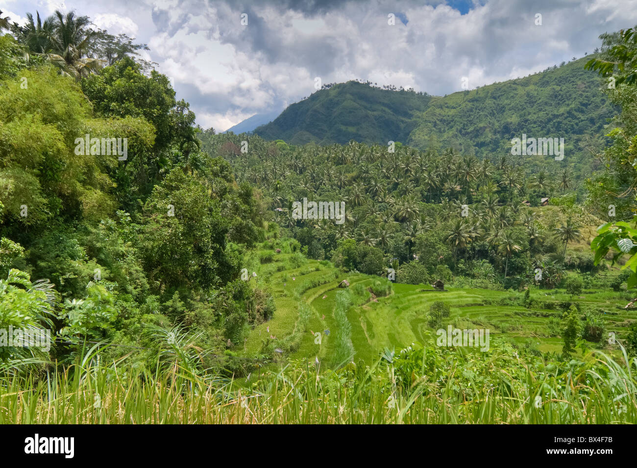 Typical bali landscape hi-res stock photography and images - Alamy