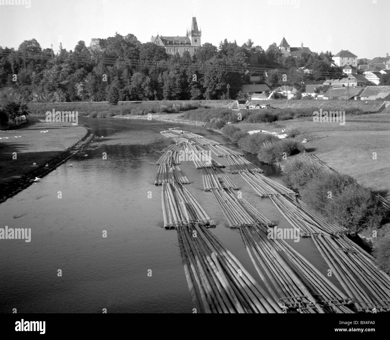 timber, logs, raft, wood,hemlock, Sazava River Stock Photo - Alamy