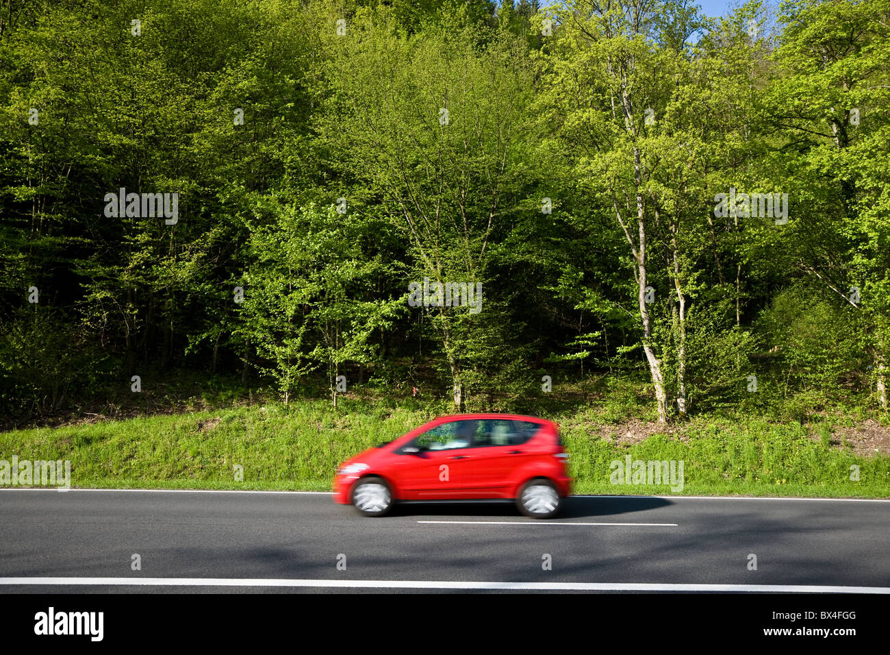 Red car driving down country road through a forest Stock Photo - Alamy