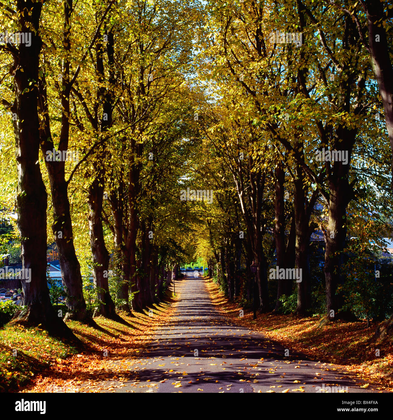 Co armagh landscapes hi-res stock photography and images - Alamy