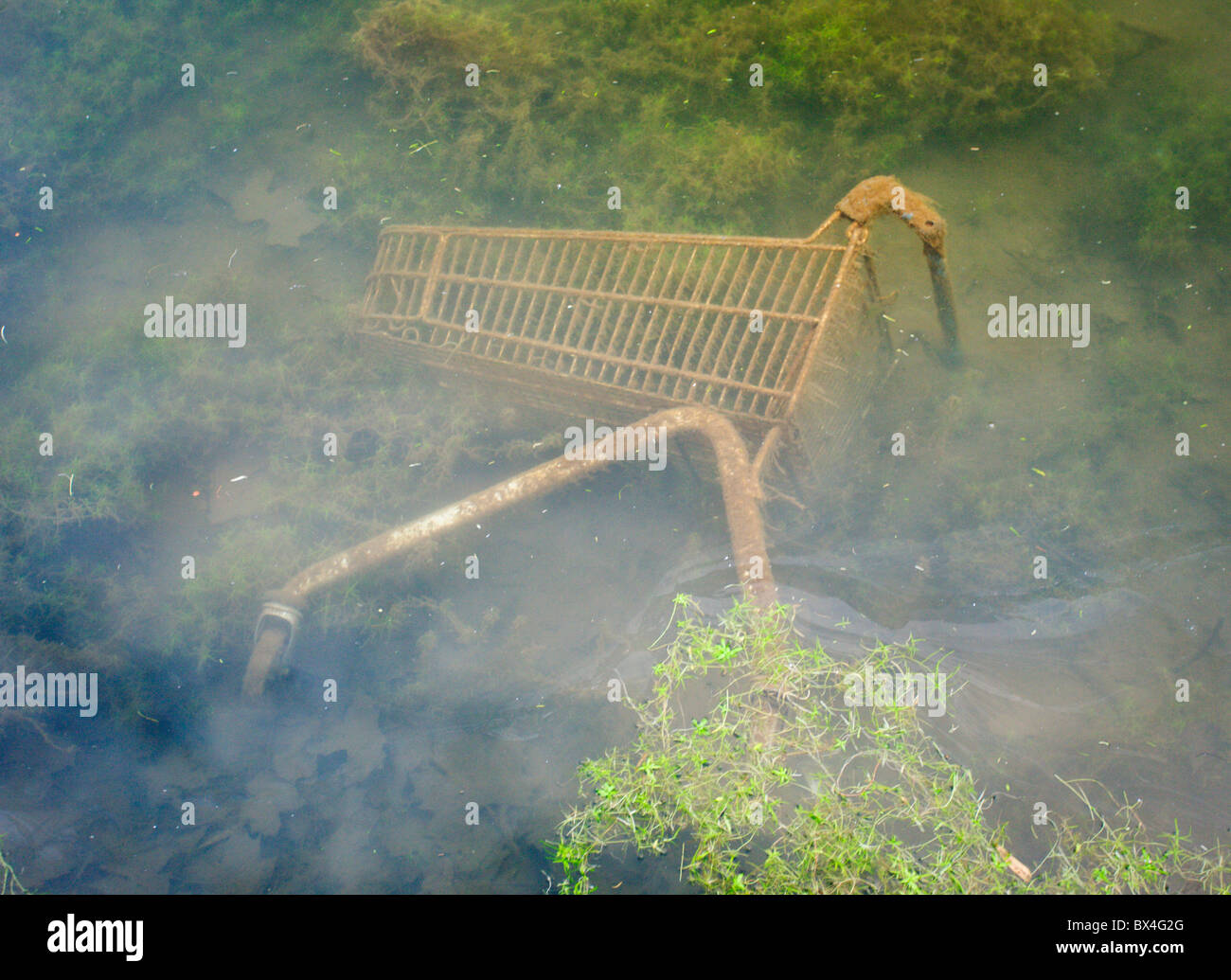 shopping carts in the water rust vandalism Stock Photo - Alamy