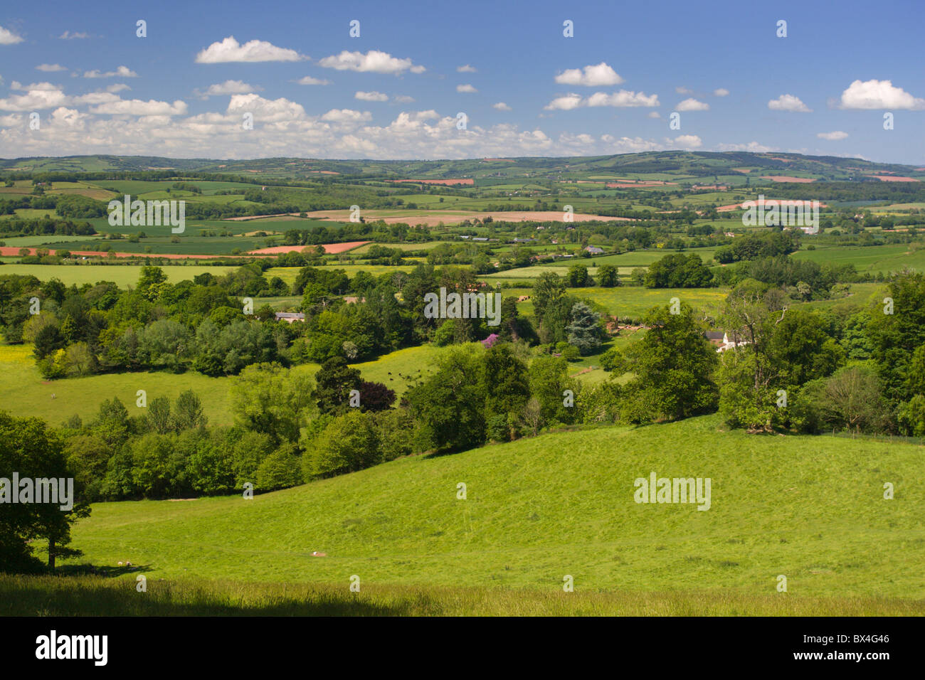 scenery landscape fields green farm courts Quantocks Brendon Hills ...