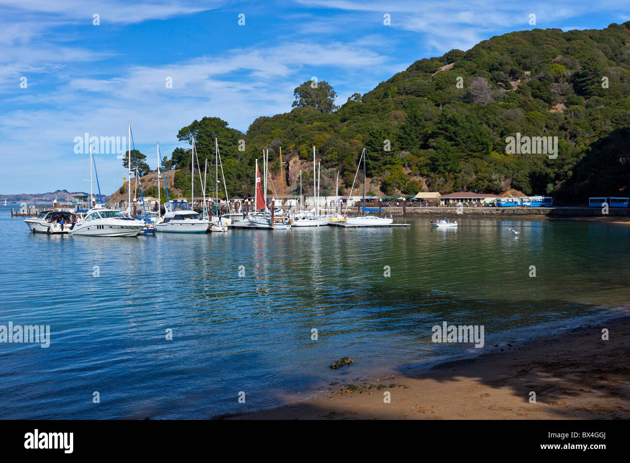 Boats docked at the public marina of Ayala Cove at Angel Island State ...