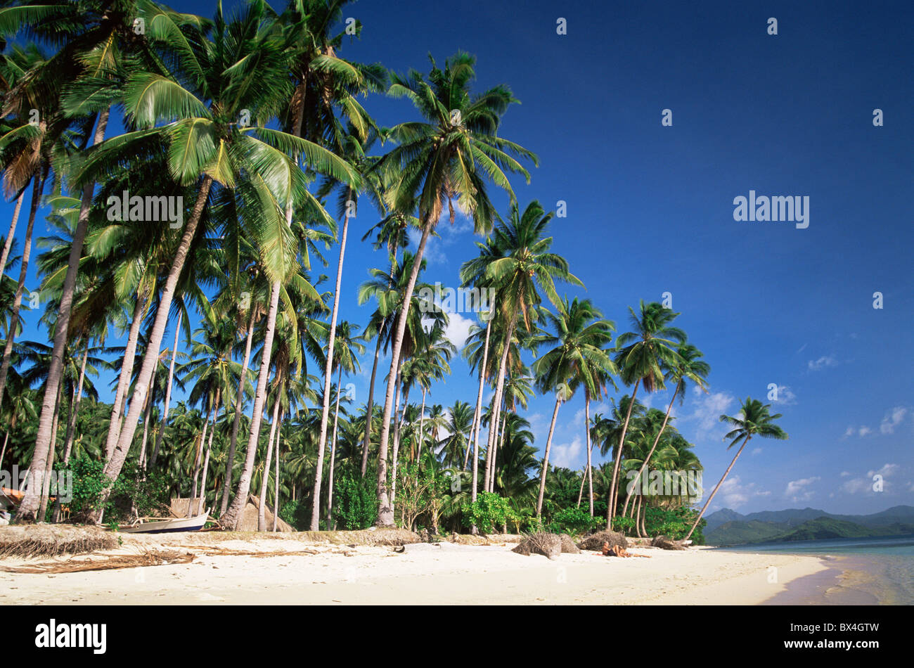 Asia Philippines Palawan Palawan Island El Nido Visayan Islands Visayas ...