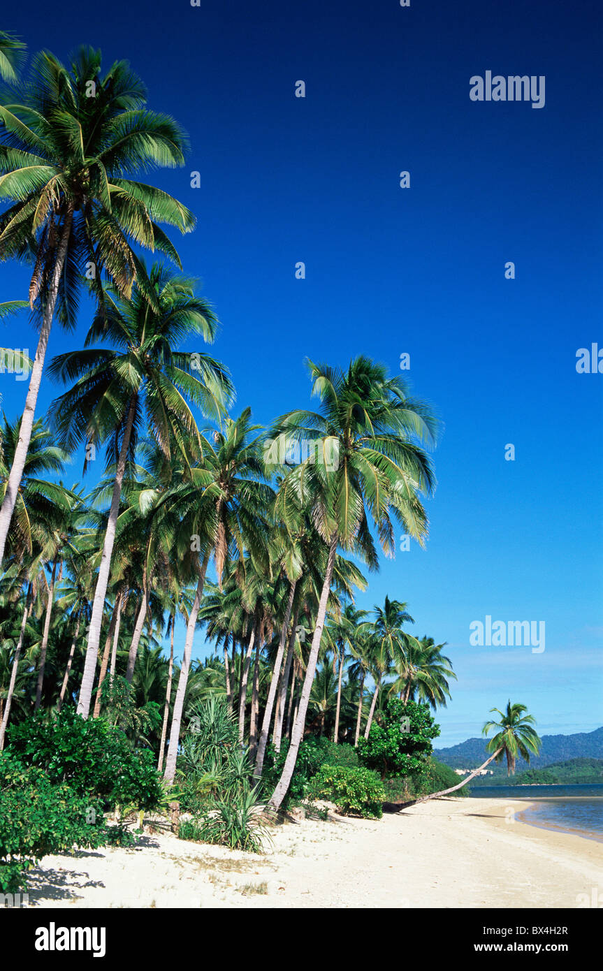 Asia Philippines Palawan Palawan Island El Nido Visayan Islands Visayas ...