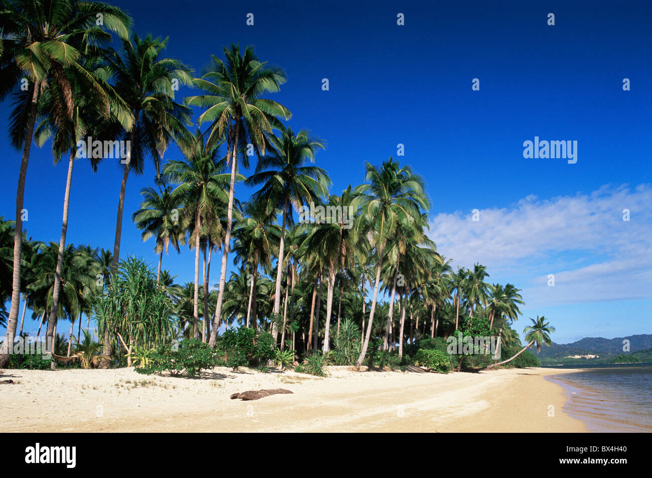 Asia Philippines Palawan Palawan Island El Nido Visayan Islands Visayas ...