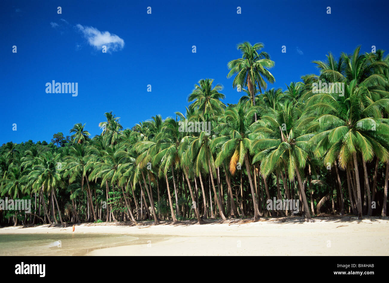 Asia Philippines Palawan Palawan Island El Nido Visayan Islands Visayas ...