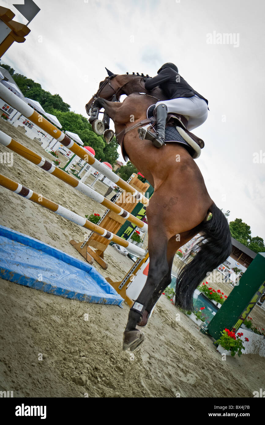 rider during horse jumping show Stock Photo - Alamy