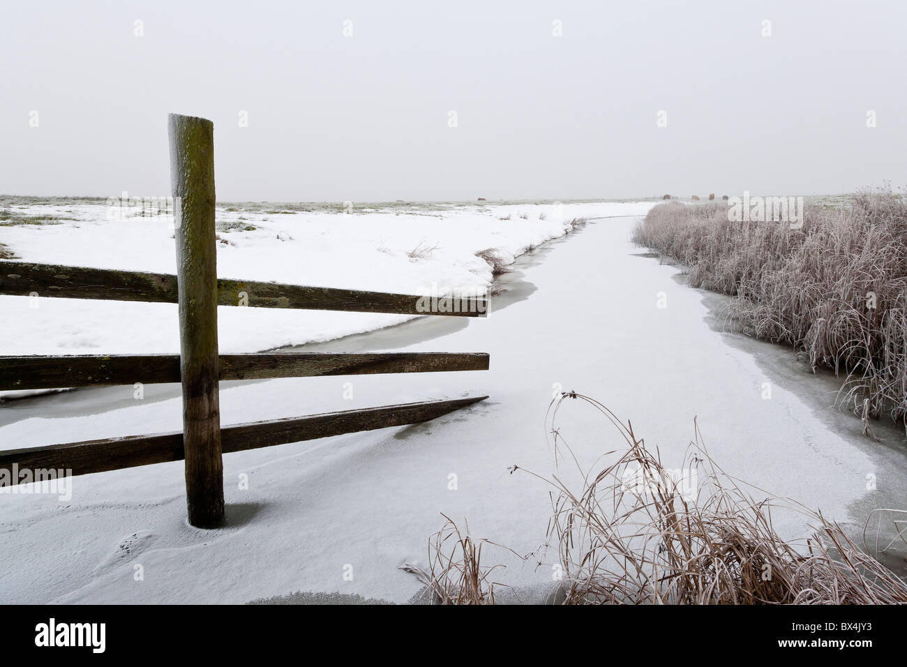 Frozen Stream at Elmley RSPB Nature Reserve, South East, Kent, England ...