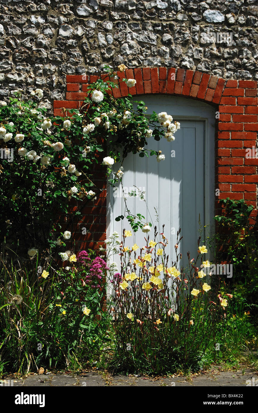 Cottage roses door hi-res stock photography and images - Alamy
