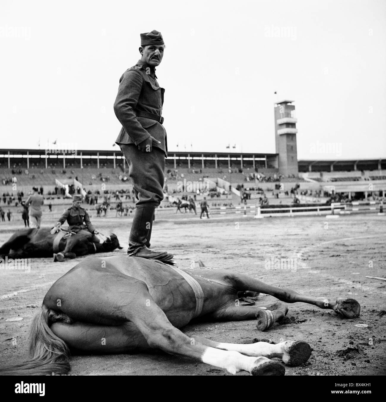 Soldiers and horses hi-res stock photography and images - Alamy