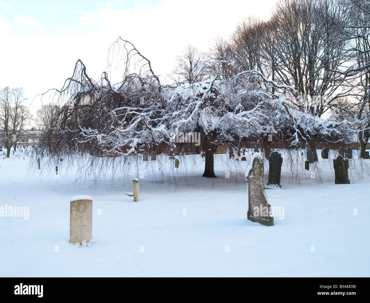 Basford Cemetery in the snow, Nottingham England UK Stock Photo - Alamy
