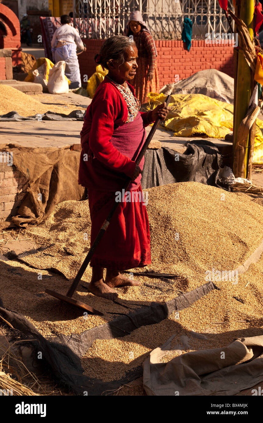 Drying rice hi-res stock photography and images - Alamy