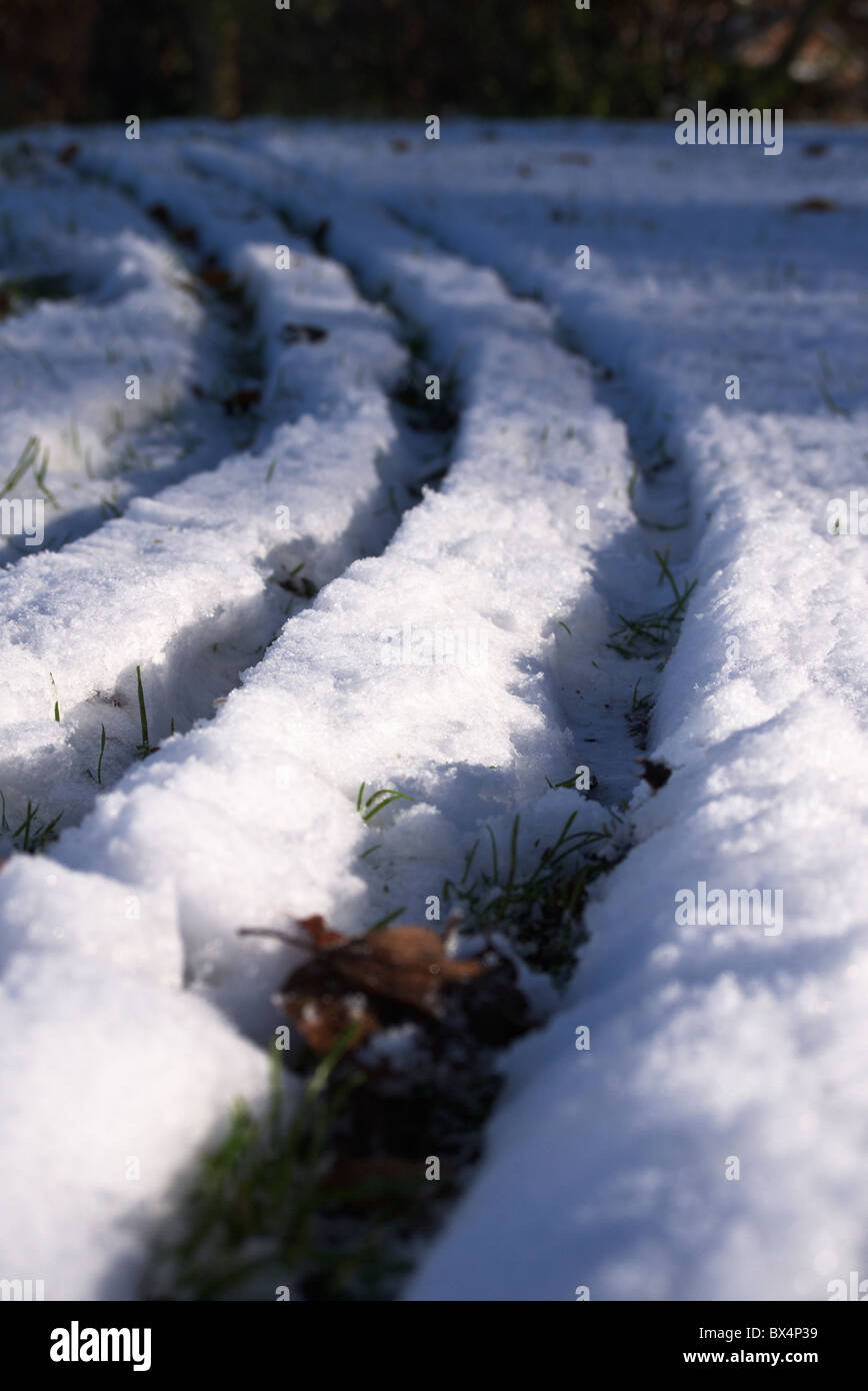 Lines in the snow from a sled Stock Photo - Alamy