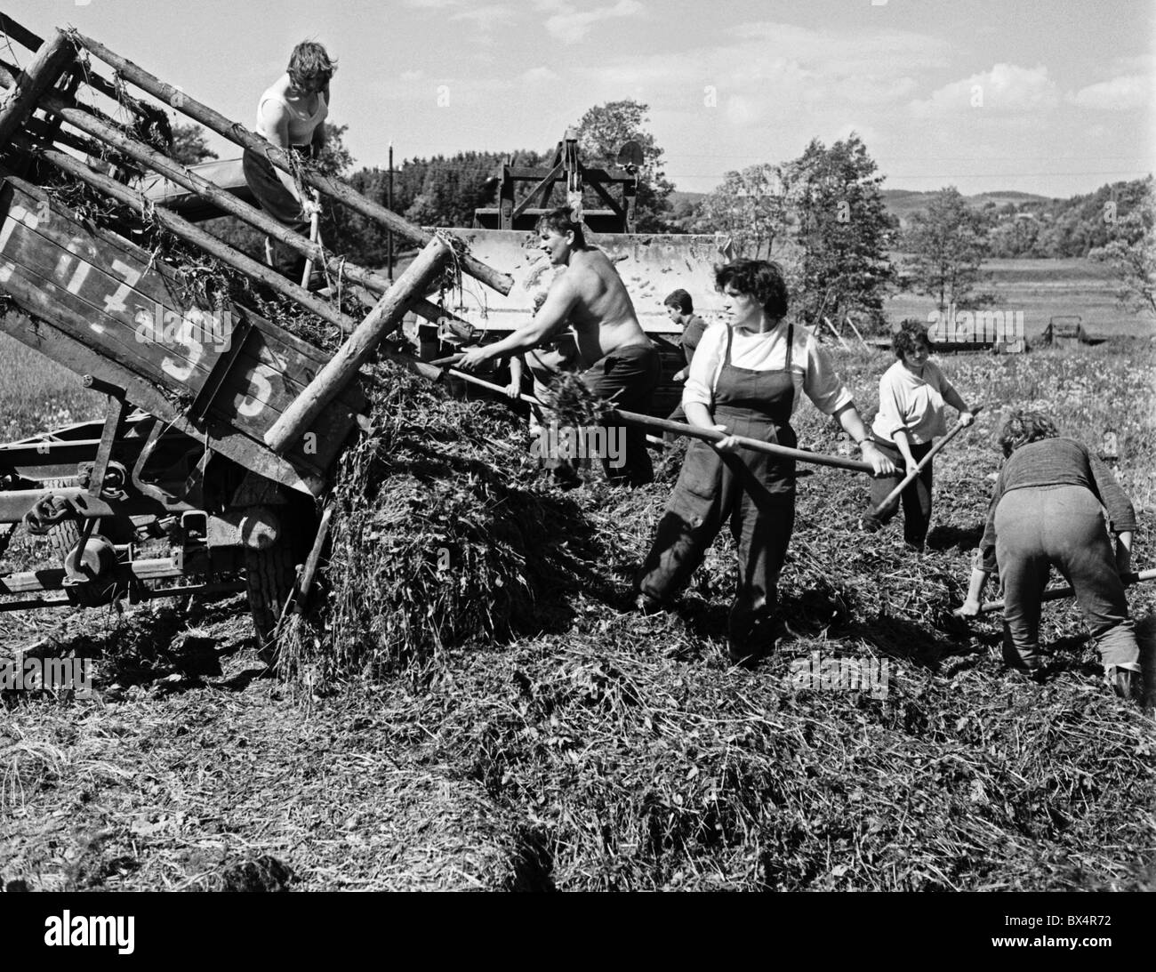 Clover harvest Black and White Stock Photos & Images - Alamy