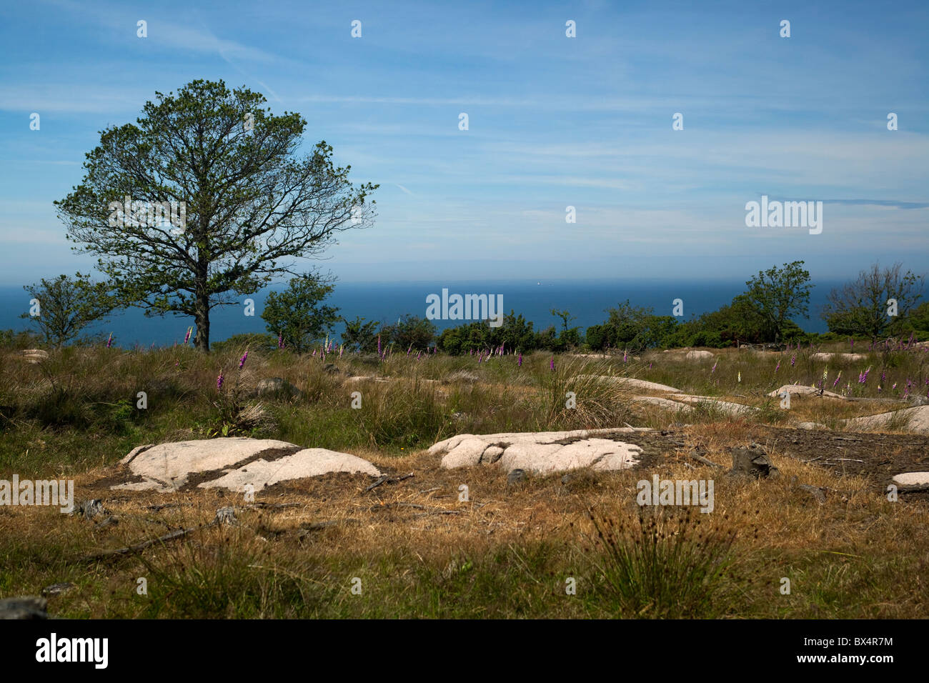 Landscape at Hammeren. Bornholm, Denmark. Photo is taken next to the ...