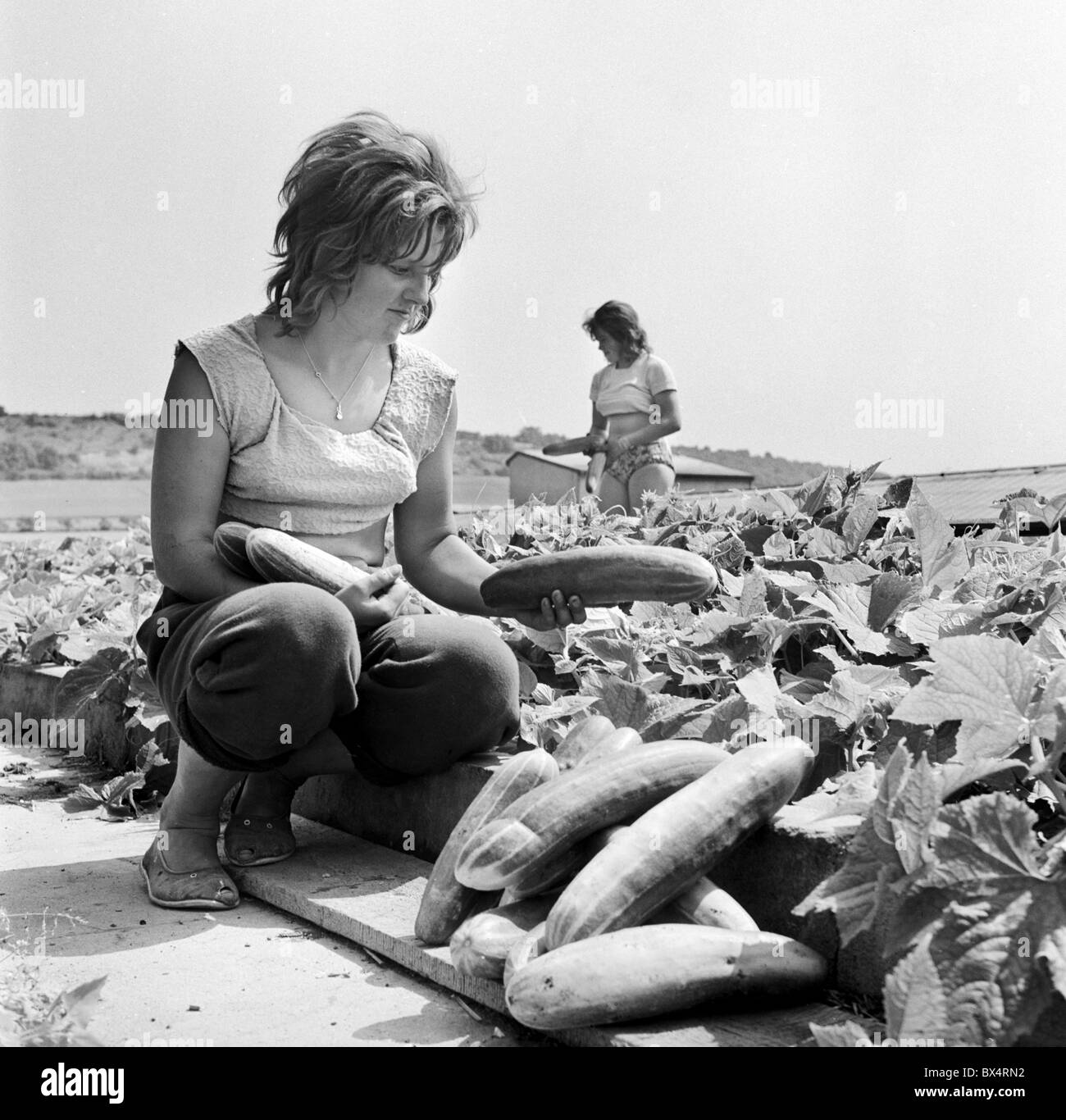 Communist Collective Farm High Resolution Stock Photography and Images ...