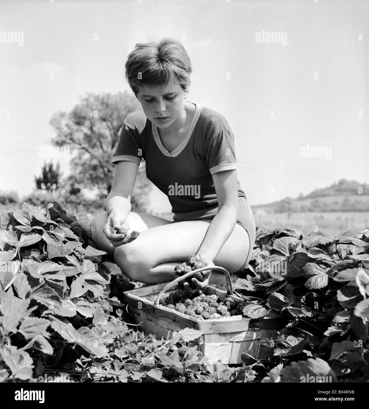 Communist collective farm hi-res stock photography and images - Alamy