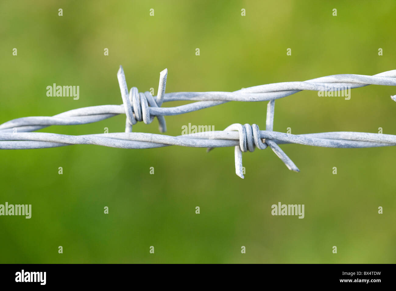 Galvanised Barbed Wire Stock Photo - Alamy