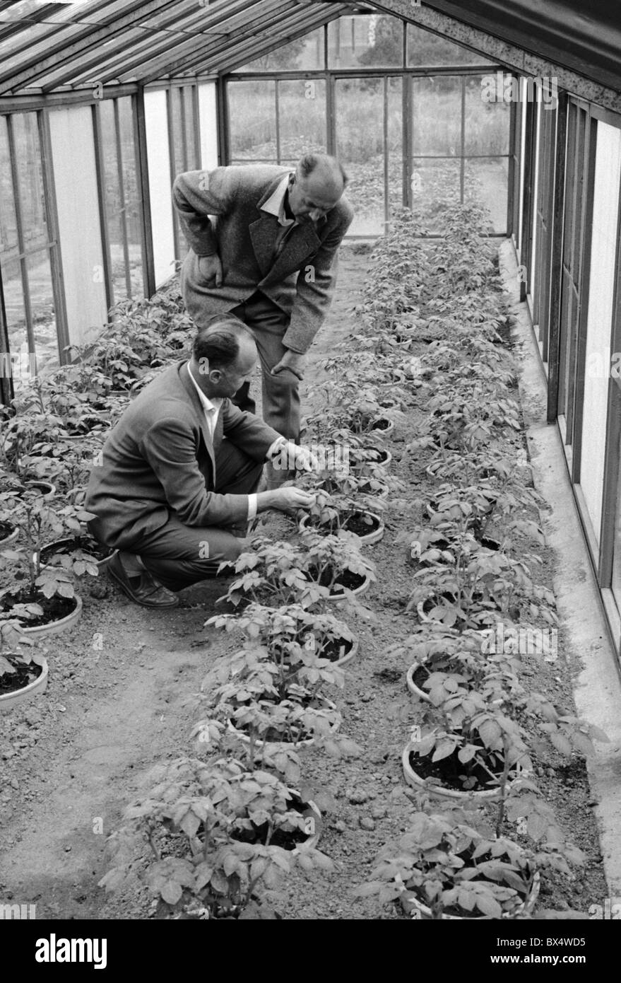 Quality greenhouse Black and White Stock Photos & Images - Alamy