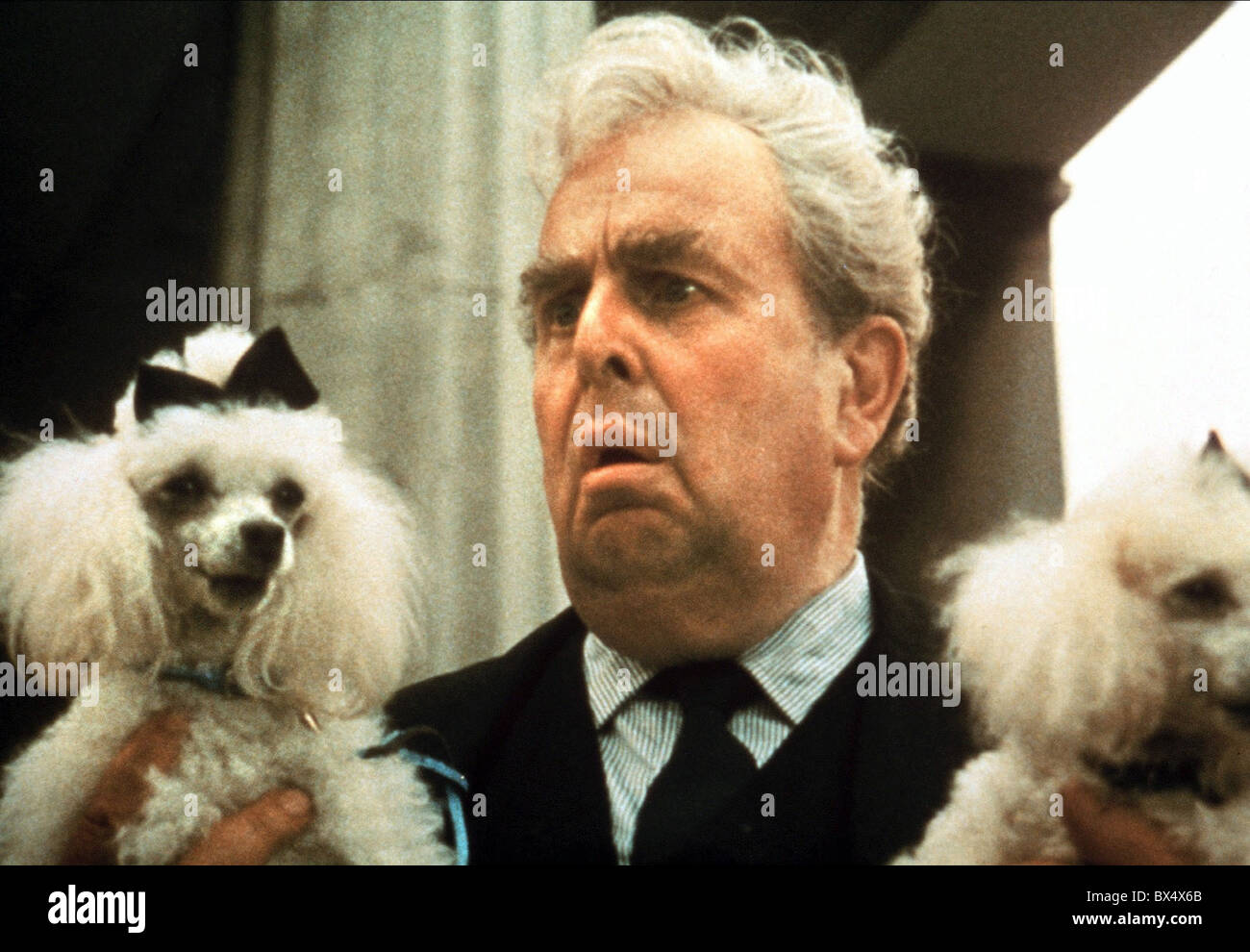 Robert Morley High Resolution Stock Photography and Images - Alamy