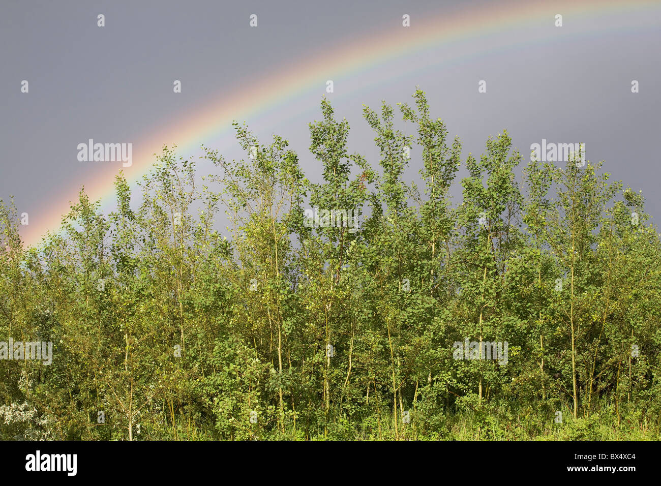 Nature inspiration rainbow hi-res stock photography and images - Alamy