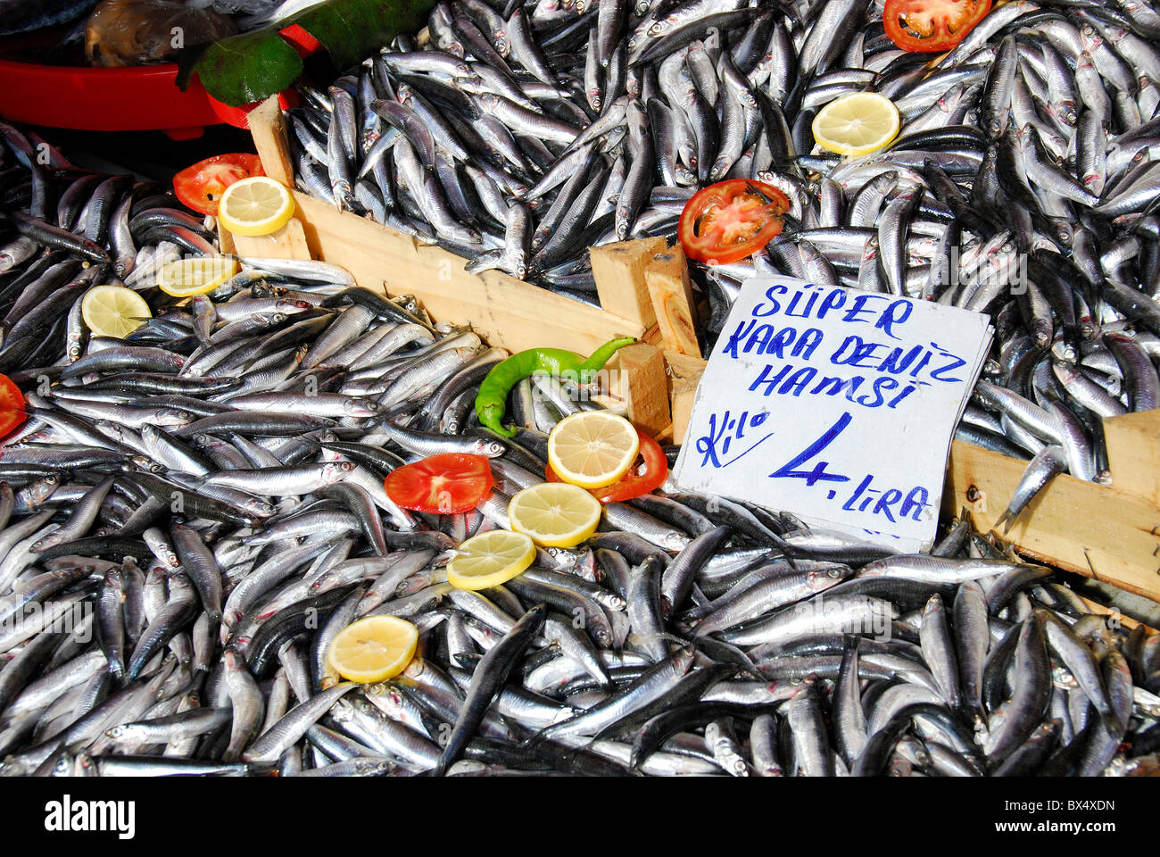 ISTANBUL, TURKEY. Crates of fresh anchovies (hamsi) at the fish market ...